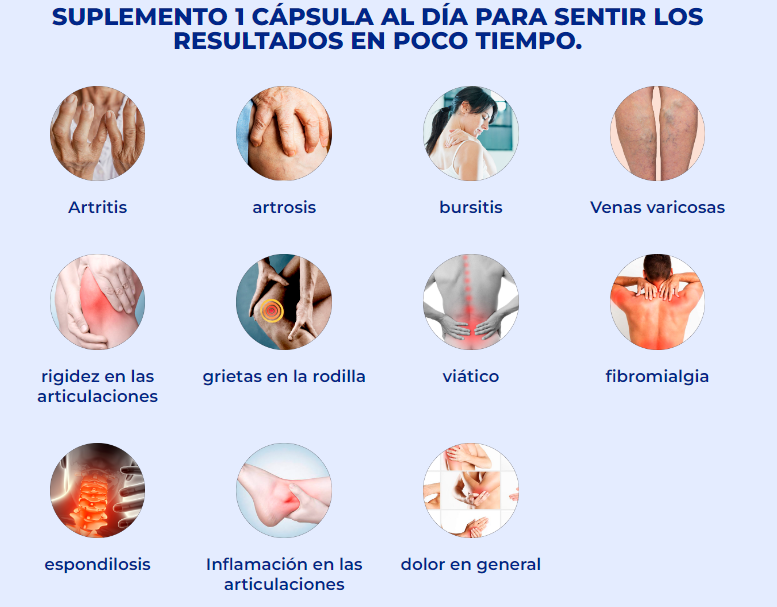 Colágeno tipo 2 [EXPERT DIMOND] – Suplementos Asuncion